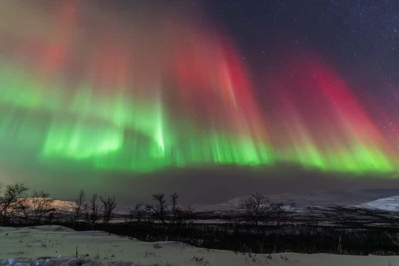 Tromsø: Aurora Quest small group Adventure - Is This Tour Worth the Price?