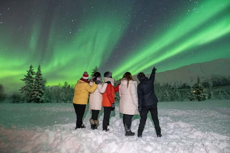 Tromsø: Aurora Safari Chase by big bus with Camp meal - Key Points