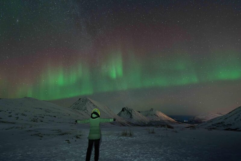 Tromsø: Aurora Tour with Campfire and Professional Photos - Final Thoughts