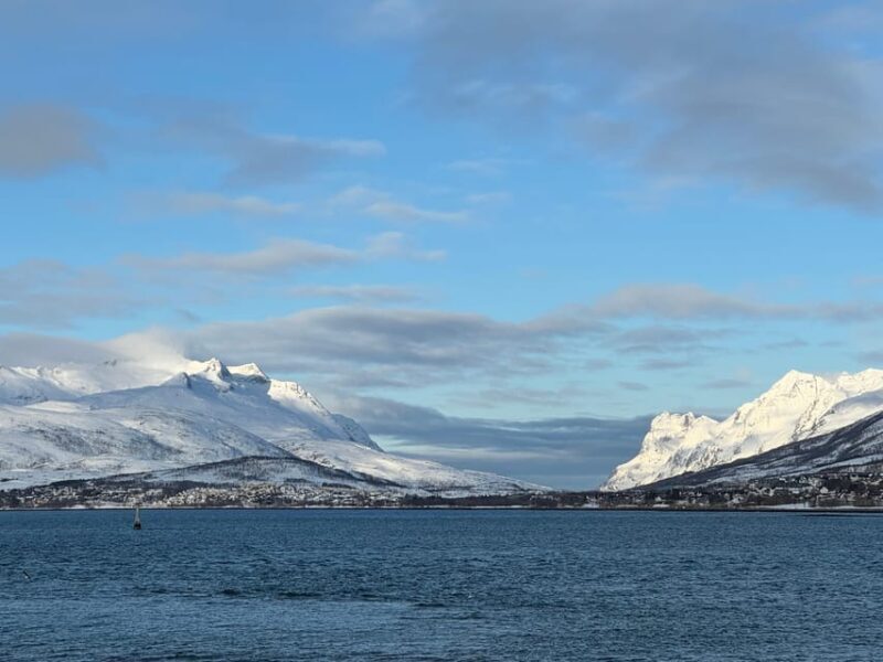 Tromsø: Aurora Tour with Guide and Photos - Max. 15 ppl - An In-Depth Look at the Tromsø Aurora Tour