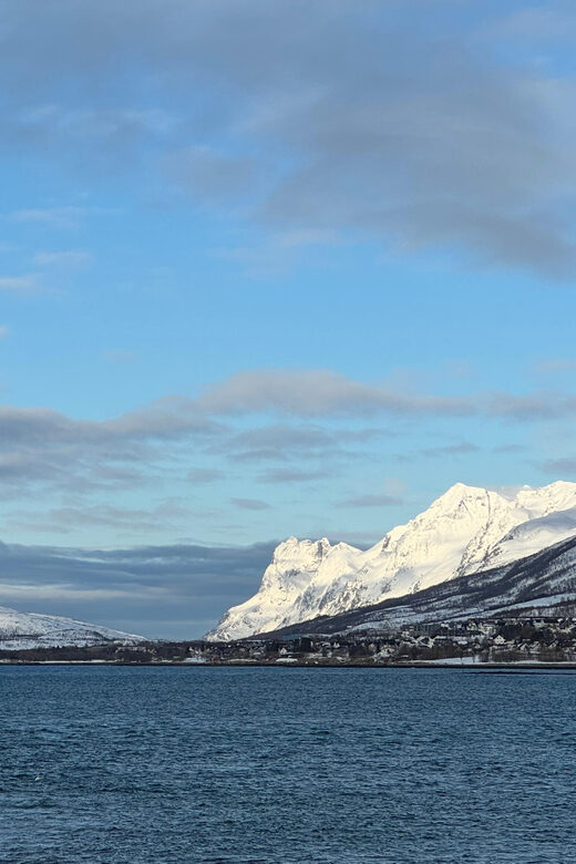 Tromsø: Aurora Tour with Guide and Photos - Max. 15 ppl - Authentic Feedback from Travelers