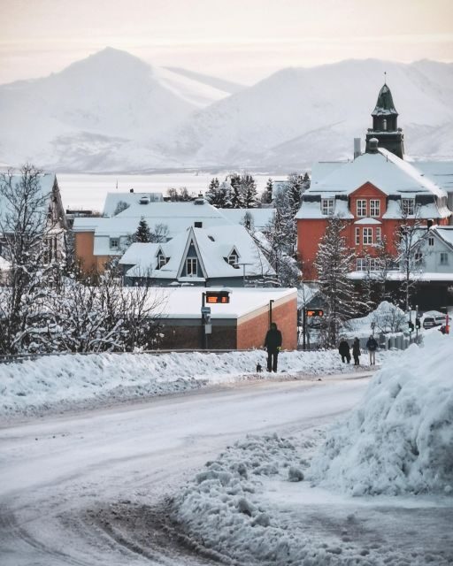 Tromsø: Capture the most Photogenic Spots with a Local - Key Points