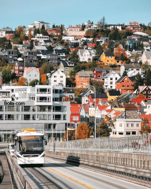 Tromsø: Capture the most Photogenic Spots with a Local - Overall Value and Experience