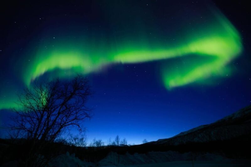 Tromsø Chinese Aurora Tour - Who Will Love This Tour?