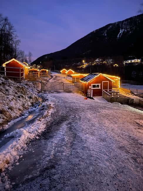 Tromsø: Cosy Farm Visit with a Chance of Northen Lights - Tromsø: Cosy Farm Visit with a Chance of Northern Lights