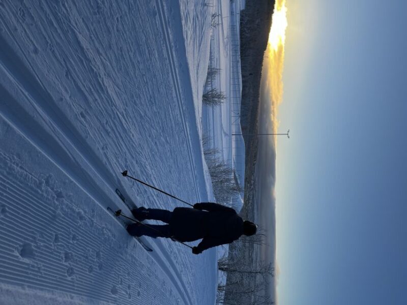 Tromsø: Cross Country Guided Skiing Course - Key Points