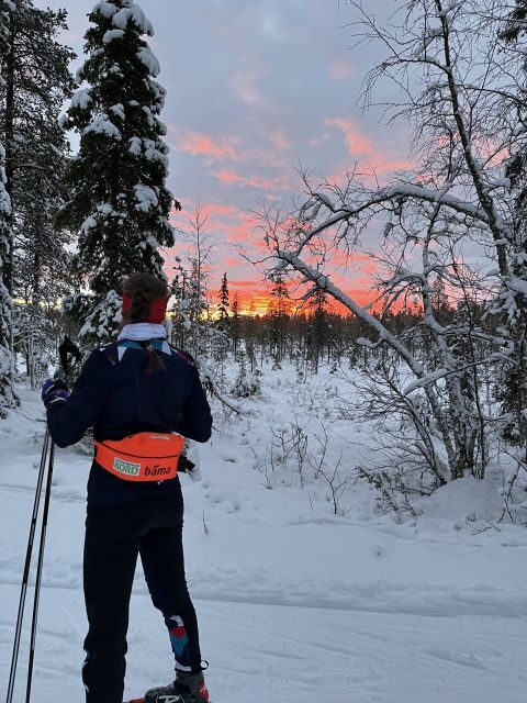 Tromsø: Cross Country Guided Skiing Course - Genuine Experiences from Participants