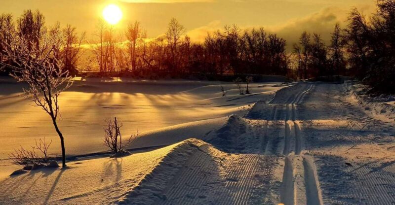 Tromsø: Cross Country Guided Skiing Course - Who Should Consider This Tour?