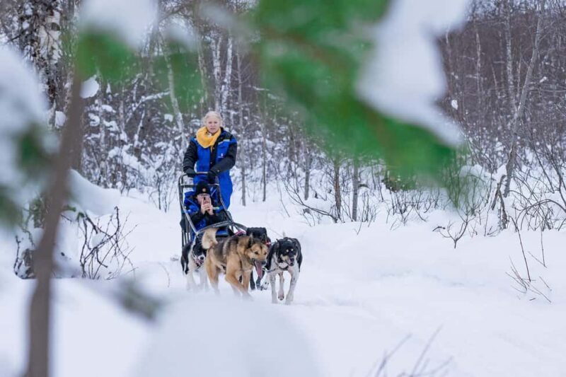 Tromsø: Dog Sledding Adventure at Camp Aspemo - Discovering the Unique Allure of Dog Sledding in Tromsø