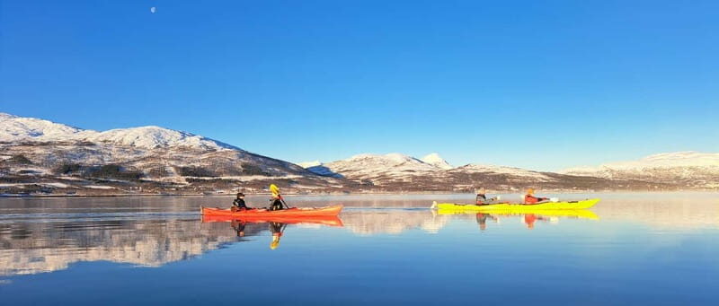 Tromsø: Easy Winter Kayaking Tour with Seal Watching - The Itinerary in Detail