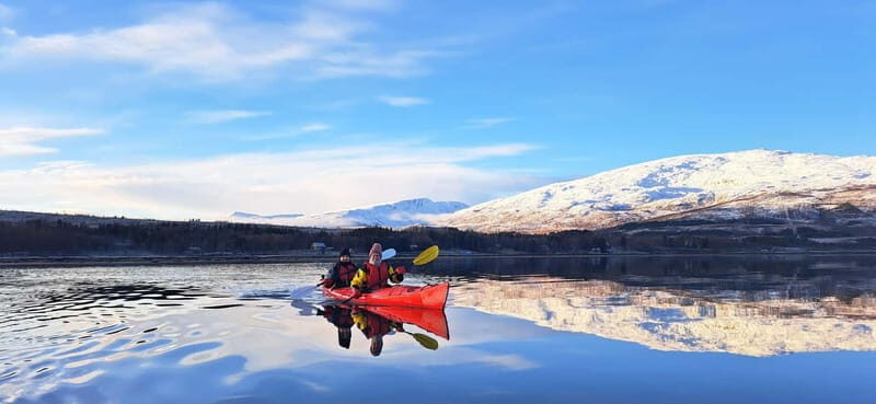 Tromsø: Easy Winter Kayaking Tour with Seal Watching - What’s Included and What to Bring