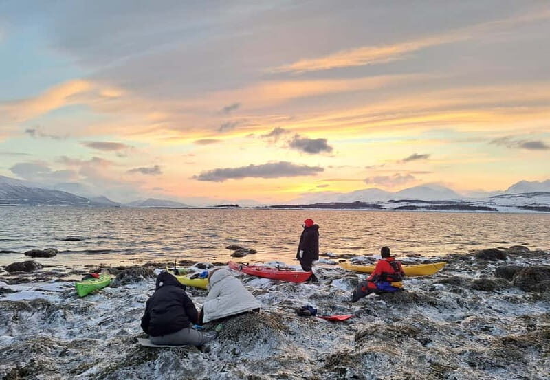 Tromsø: Easy Winter Kayaking Tour with Seal Watching - Assessing the Experience’s Value