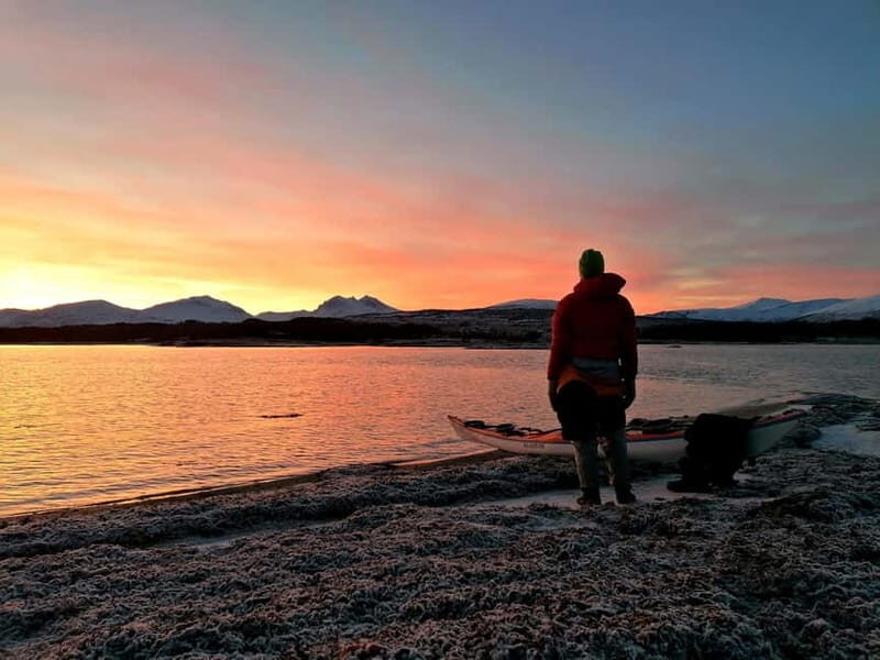 Tromsø: Easy Winter Kayaking Tour with Seal Watching - Who Should Consider This Tour?