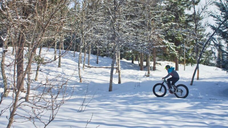 Tromsø: Electric fatbike trip on winter paths - Discovering Tromsø on Two Wheels – A Detailed Look