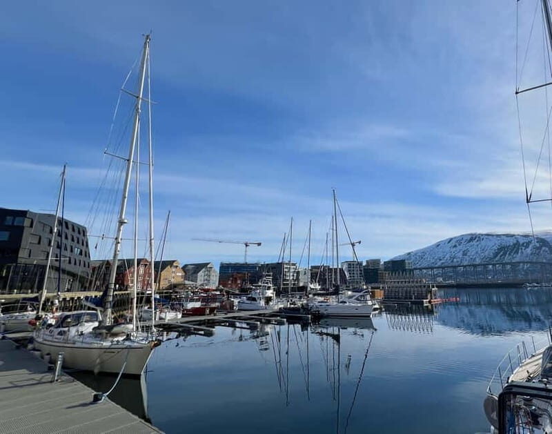 Tromsø: Evening City Walking Tour with Arctic Stories - Exploring Tromsø: An Evening Walk with Arctic Stories