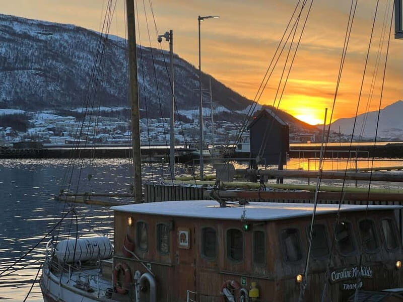 Tromsø: Evening City Walking Tour with Arctic Stories - Who Will Love This Tour?