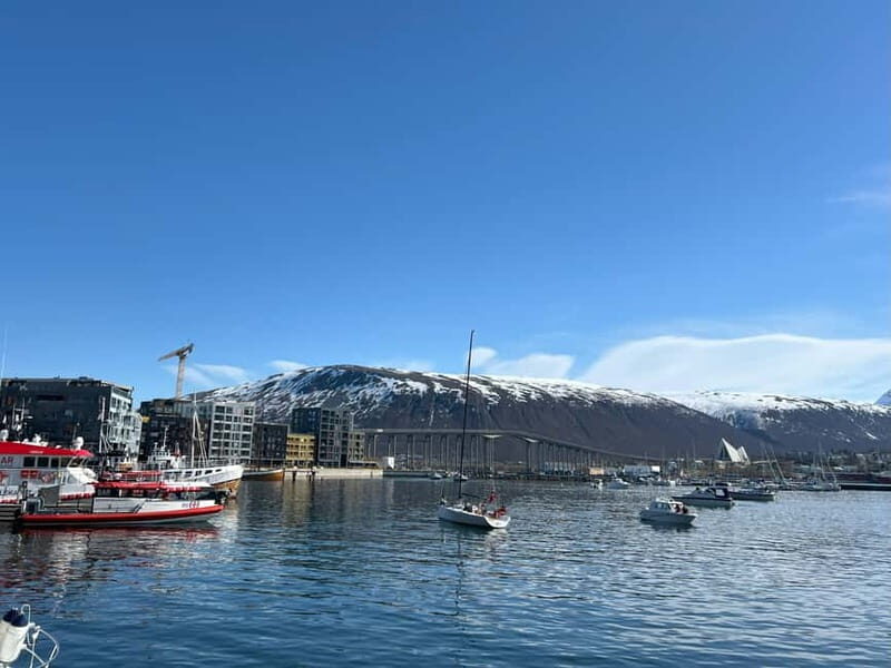 Tromsø: Evening City Walking Tour with Arctic Stories - Final Thoughts: Is It Worth It?