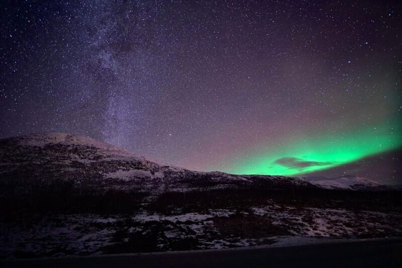 Tromsø: Evening Cruise with Northern Lights Opportunity - Key Points