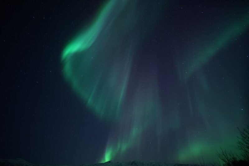 Tromsø: Evening Cruise with Northern Lights Opportunity - Seeing the Northern Lights: Chance and Challenges
