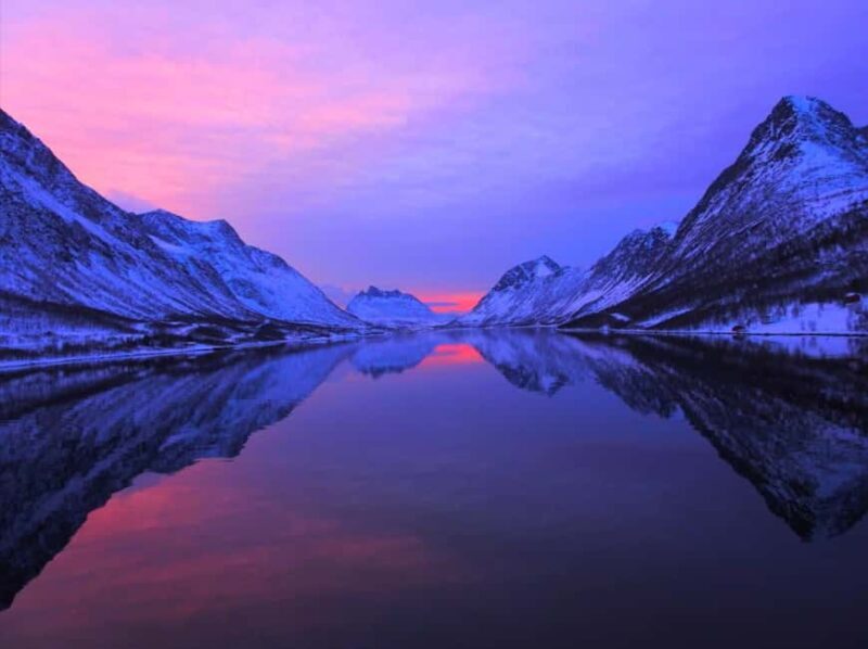 Tromsø: Evening Sightseeing Cruise All-inclusive - Key Points