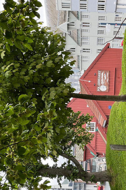 TROMSØ: Explore The City And a Guided Tour Of PolarMuseum! - Authentic Experiences and Authentic Guides