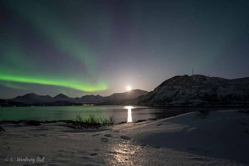 Tromsø: Express Aurora Hunt - Tromsø: Express Aurora Hunt — A Practical Guide to Seeing the Northern Lights