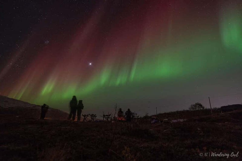 Tromsø: Express Aurora Hunt - Why This Tour Offers Great Value
