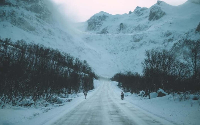 Tromsø: Express Fjord Road Trip - The Sum Up: Is It Worth It?