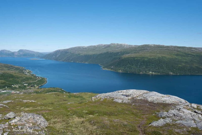 Tromsø: Express Summer Day Hike in the wilderness - Who Will Love This Tour?