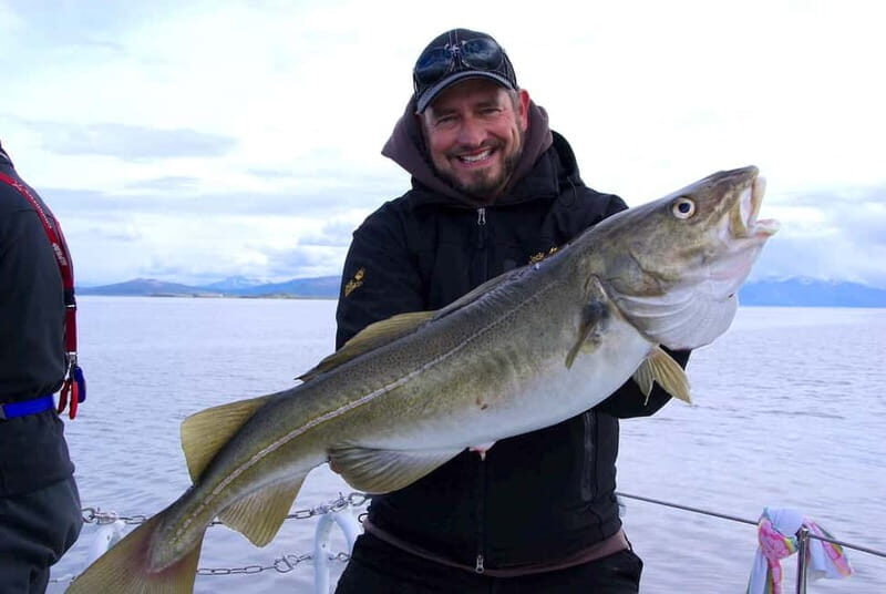 Tromsø: Fishing Sea Safari - FAQ