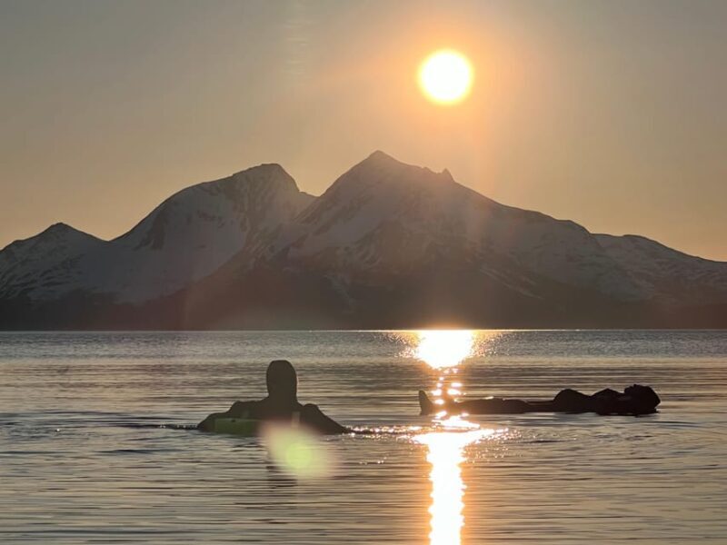 Tromsø: Fjord and Floating Safari, Arctic Floating - Final Thoughts