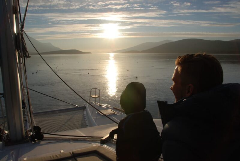 Tromsø: Fjord and Islands Luxury Catamaran Cruise - Key Points
