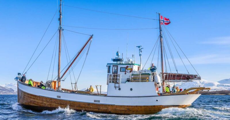Tromsø: Fjord History Cruise with Snack and Drinks - Comfort and Practicalities