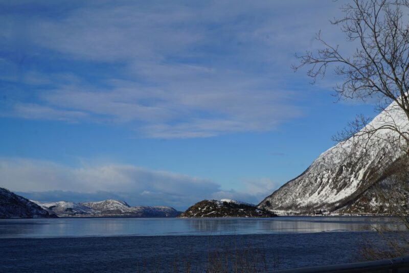 Tromsø: Fjord Sightseeing in a Tesla X Luxury Electric Car - FAQ