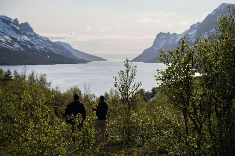 Tromsø: Fjord Tour and Visit to Sommarøy with Expert Tour Guide in Italian - Authentic Experiences and Who Will Appreciate This Tour