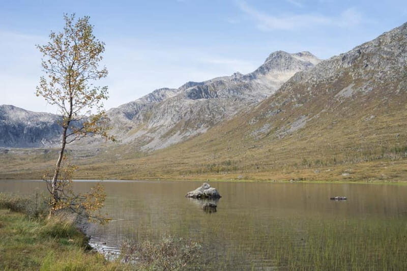 Tromsø: Fjord Tour and Visit to Sommarøy with Expert Tour Guide in Italian - FAQ: Your Practical Questions Answered