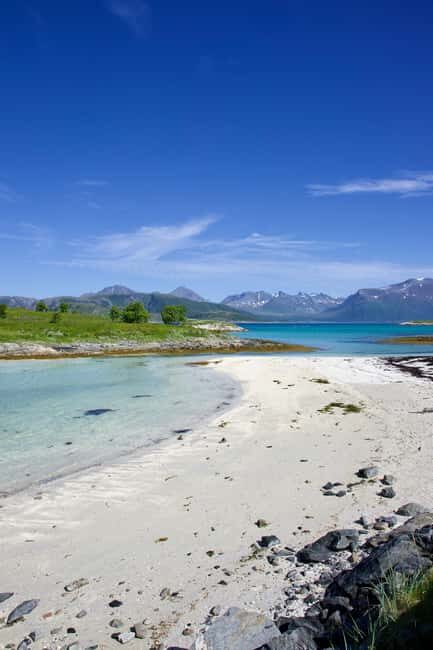 Tromsø: Fjord tour to Sommarøya - Key Points