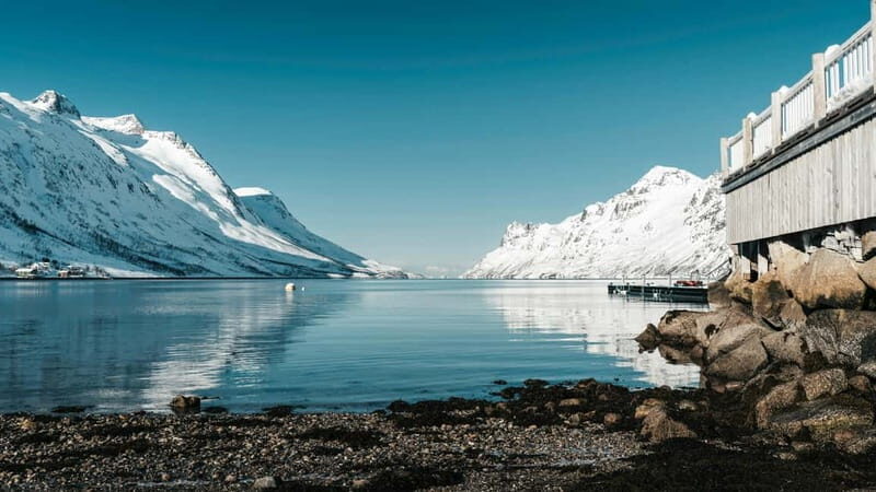 Tromsø: Fjords and Sommarøy Tour with Local Lunch - Key Points