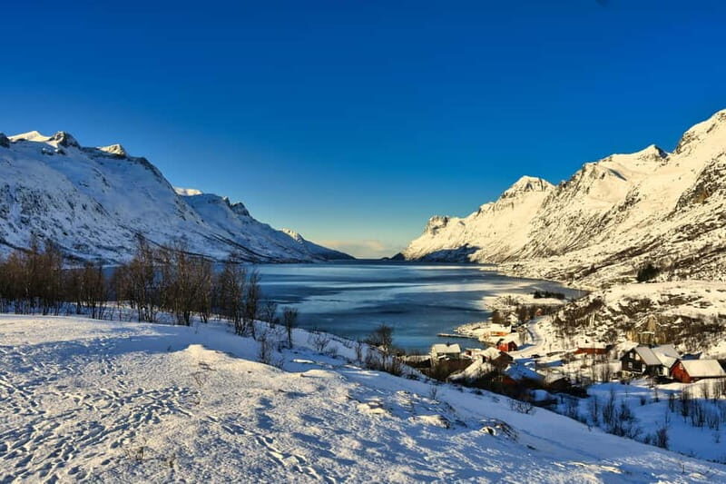 Tromsø: Fjords and Sommarøy Tour with Local Lunch - FAQ