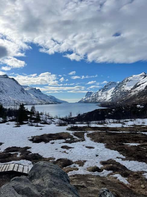 Tromsø: Fjords and Wildlife Tour in a Minibus - Frequently Asked Questions