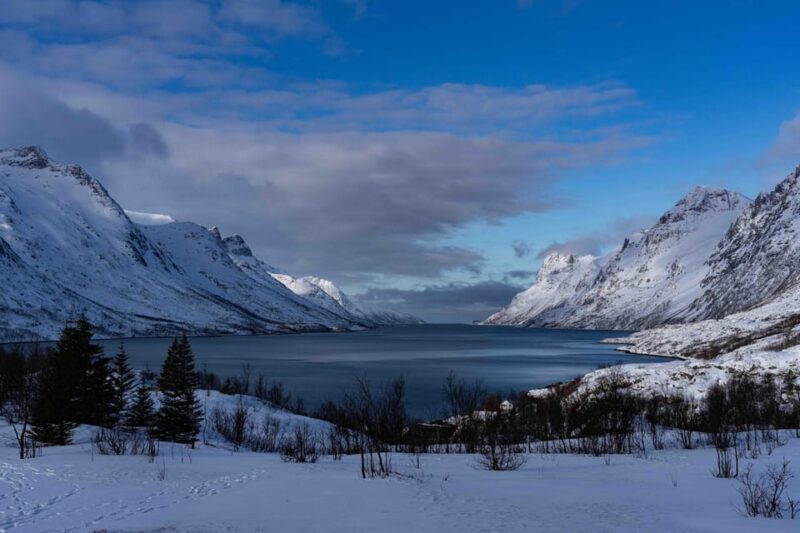 Tromsø: Fjords & Beaches Tour with campfire and photos - What’s Included and What’s Not