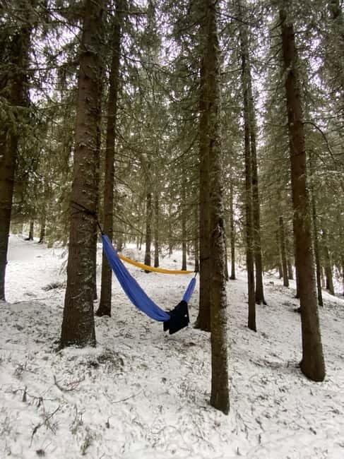 Tromsø: Forest escape adventure - Key Points