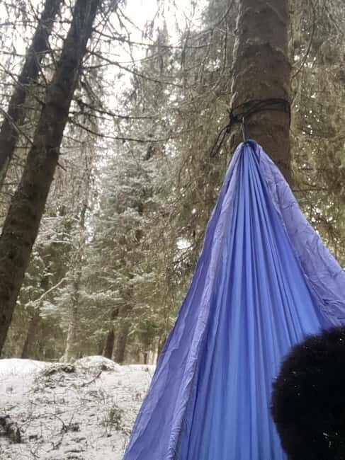 Tromsø: Forest escape adventure - Authentic, Practical Aspects of the Tour