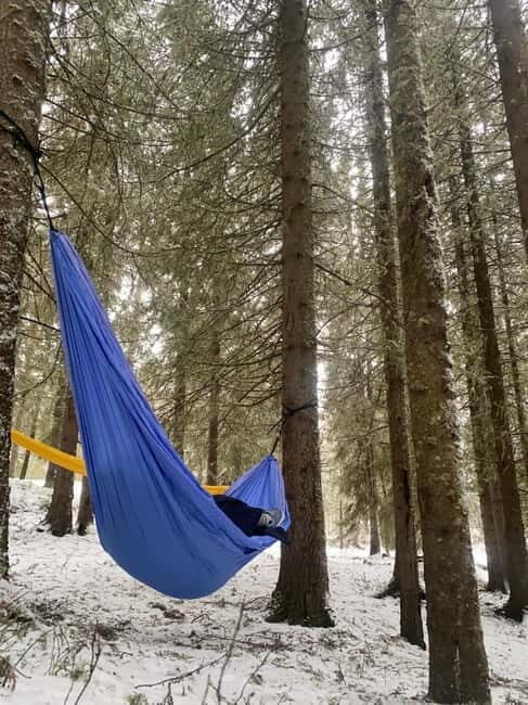 Tromsø: Forest escape adventure - Value and Practical Tips
