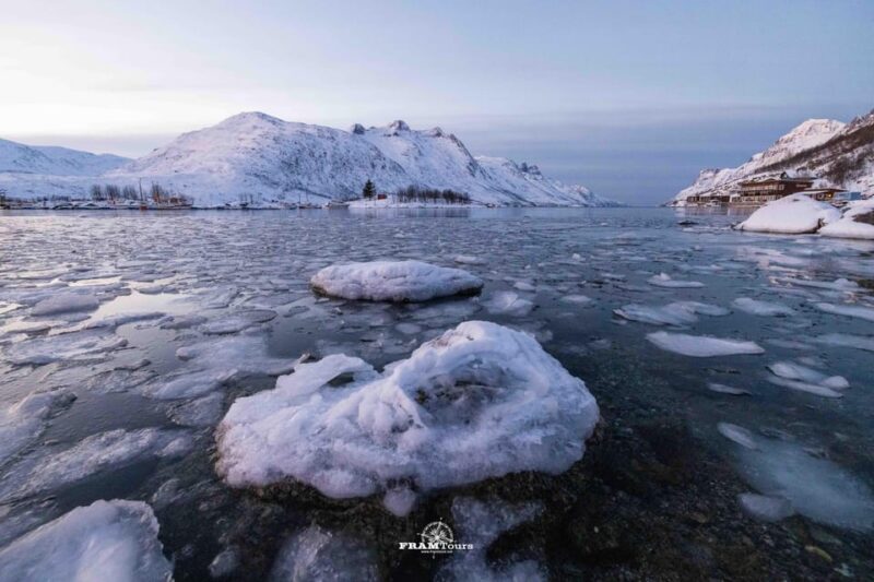 Tromso: Guided Fjord Expedition in Kvaløya with Light Lunch - The Journey Begins: Into the Fjords