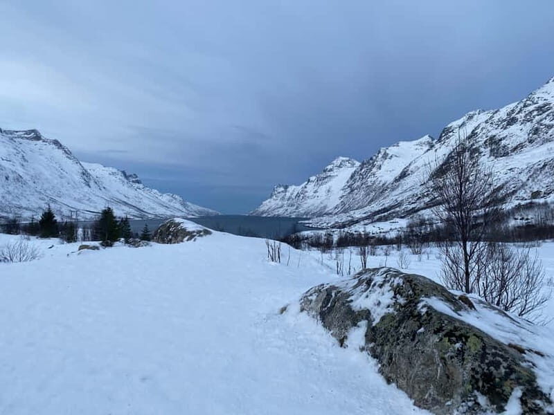 Tromsø Half-Day Tour: Fjords & Sommarøy Adventure - What Makes This Tour Stand Out