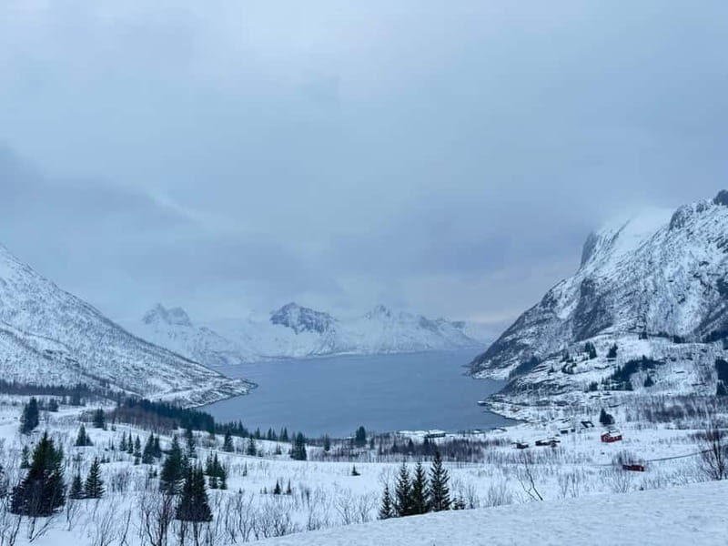Tromsø Half-Day Tour: Fjords & Sommarøy Adventure - The Visit to Eide Handel Supermarket