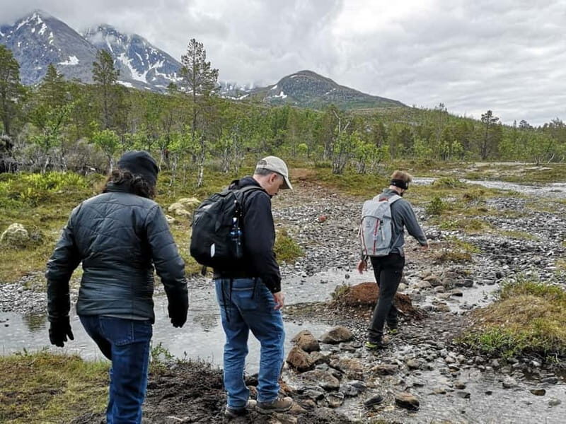 Tromsø: Hike to the Blue Lake (Blåisvatnet) - The Return Journey