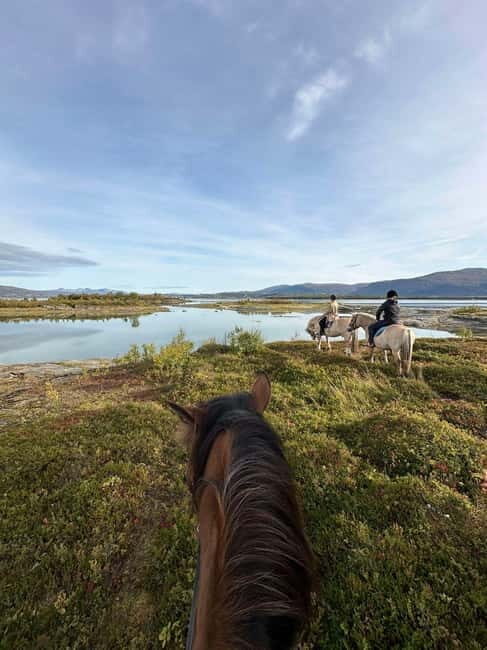 Tromsø: Horseback Riding Tour - An In-Depth Look at the Horseback Riding Experience