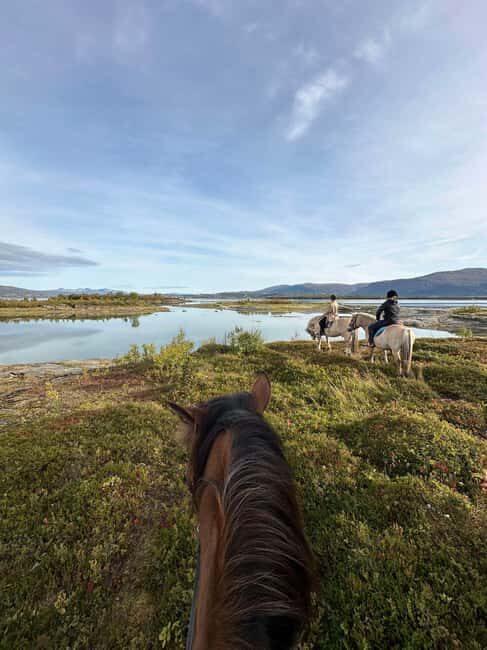 Tromsø: Horseback Riding Tour vinter/summer - Key Points